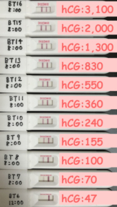 【BT8〜フライング】続・hCG値がこれくらいでこの濃さだった！ | 主婦の甘美なおやつ探求