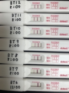 【BT8〜フライング】続・hCG値がこれくらいでこの濃さだった！ | 主婦の甘美なおやつ探求